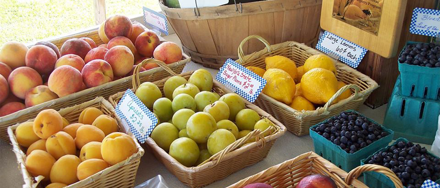 Open Farm Day offers first-rate farming experience - Syracuse New Times