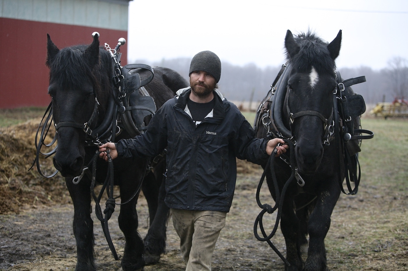 Greyrock Farm Partners With Utica Restaurant Menu – Syracuse New Times
